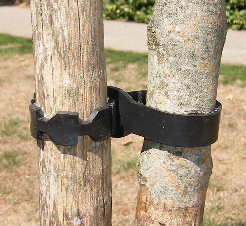 Ligature - double boucle long. 60 cm - Contact Forestier